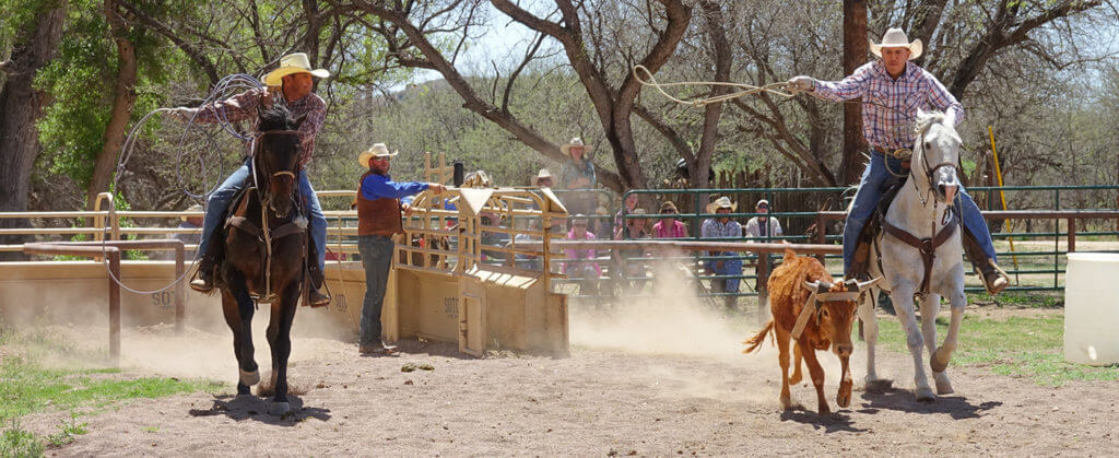 Ranch Activities | Circle Z Ranch