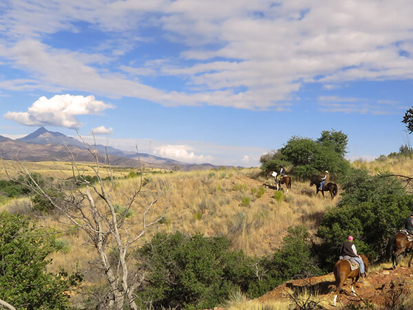 Dude Ranch Arizona | Circle Z Ranch