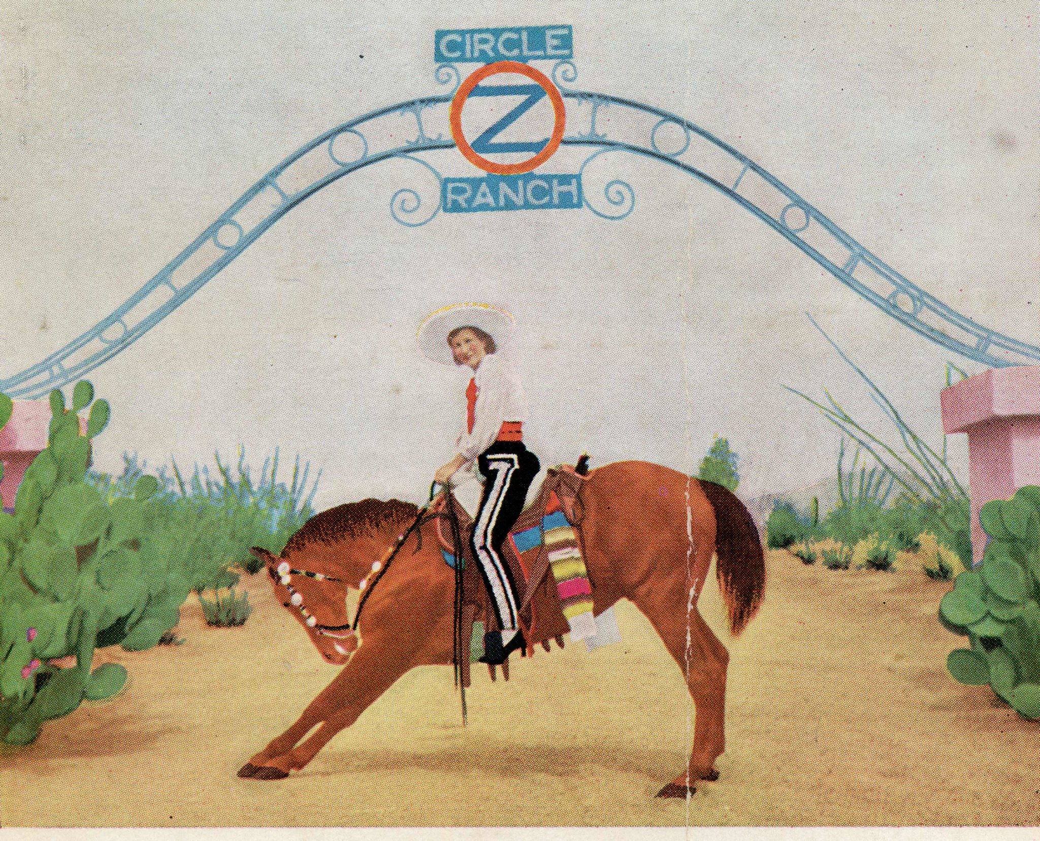 New Ranch Logo - Circle Z Ranch